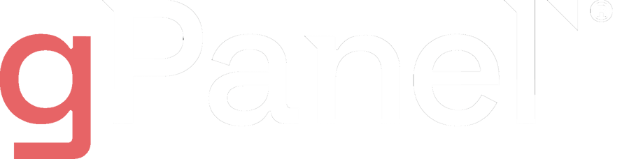 Promevo | Google Support & Technology Services